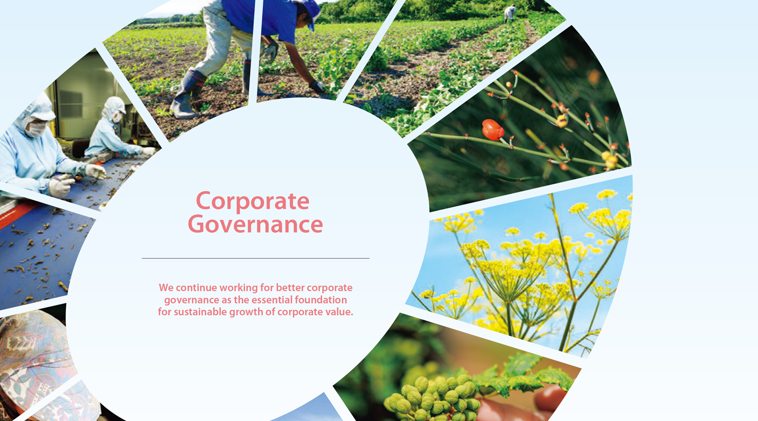 Integrated Reports - Reports and Downloads - IR Information - TSUMURA & CO.